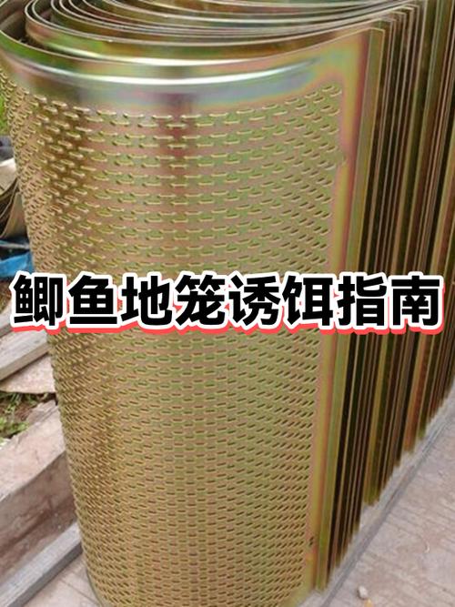 用假的红虫饵可以钓鲫鱼吗图标