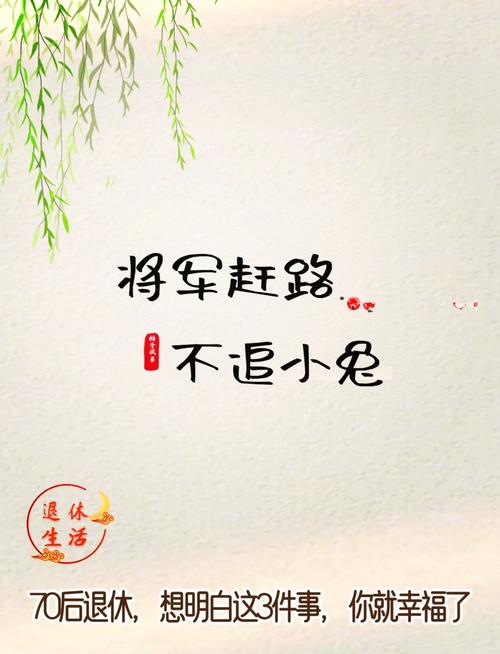 猛虎赶路不追小兔图标