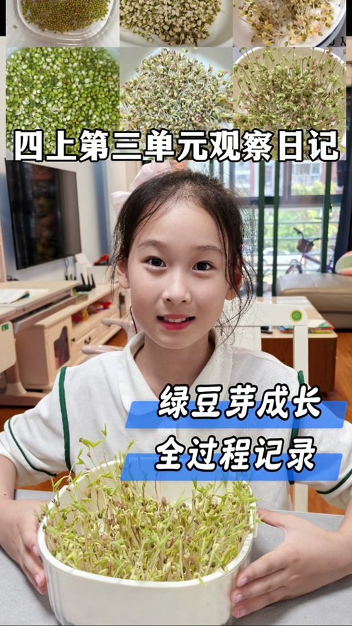 豆子日记截图