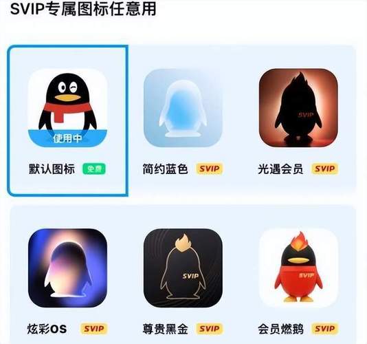 qqsvip9图标