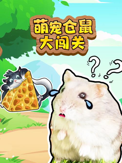 仓鼠僵尸大闯关图标