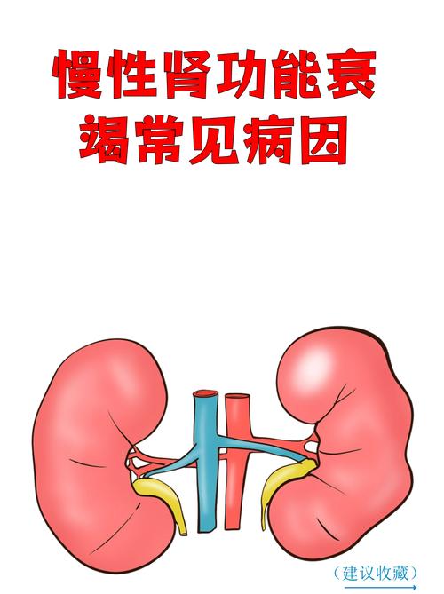 抖肾app安全吗图标