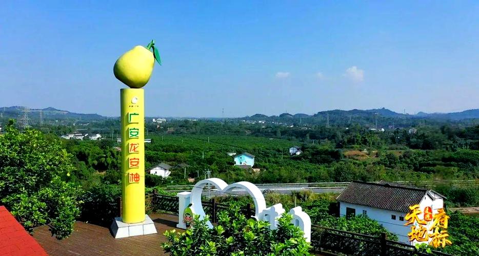 四川省安岳县柠檬小镇截图
