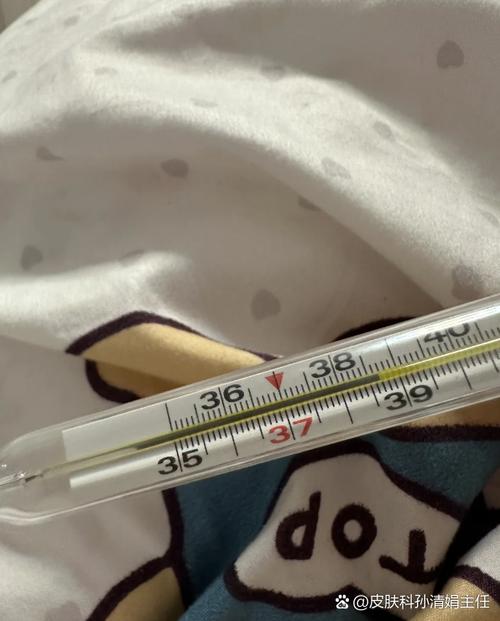 下载温度计测量房间温度游戏截图
