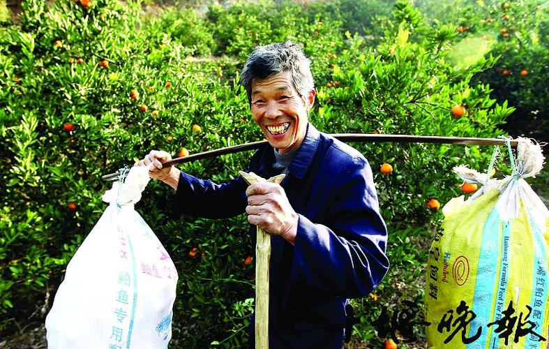 快速赚钱|找丰收客截图