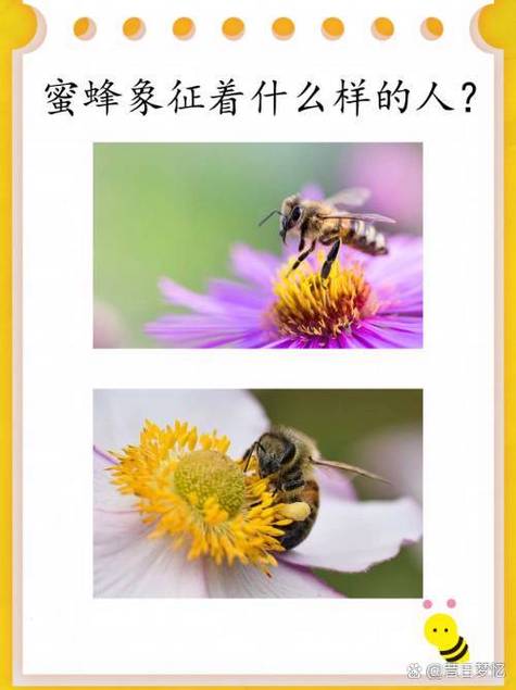 蜜蜂和蚂蚁短文的答案