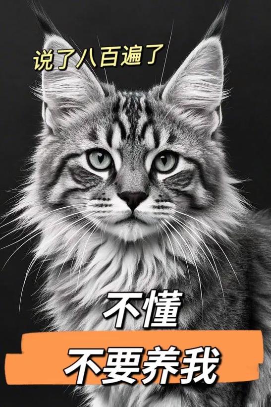 现代女主变成男主养的猫了图标