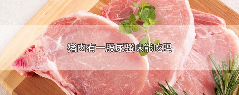 猪肉有股尿骚味还能吃吗图标