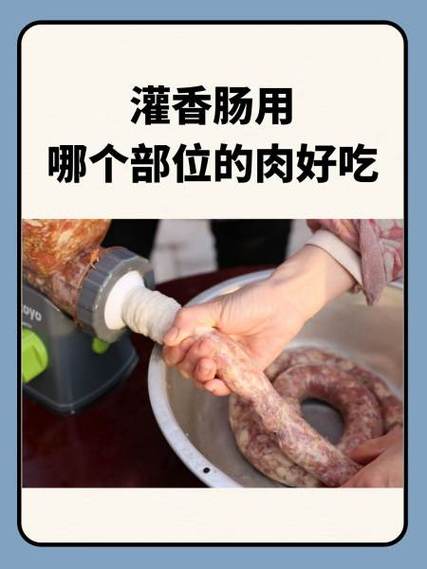 后腿肉可以做香肠吗图标