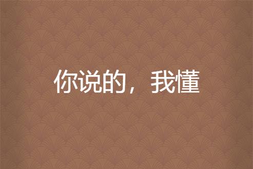 你懂我说的什么意思图标
