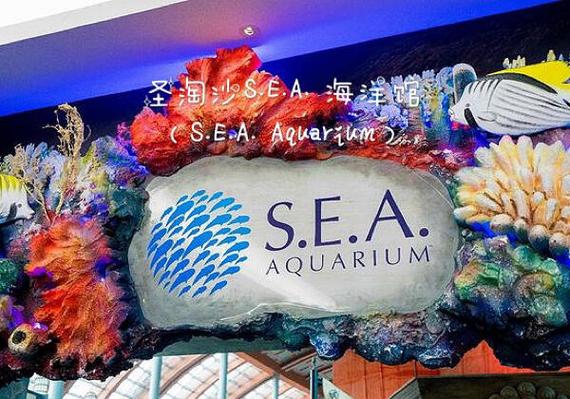 家庭水族馆图标