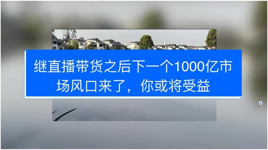 直播带货后的下一个风口图标