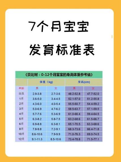几月出生的宝宝最好图标