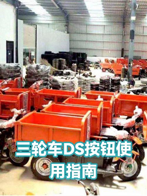 DS的意思和分类截图