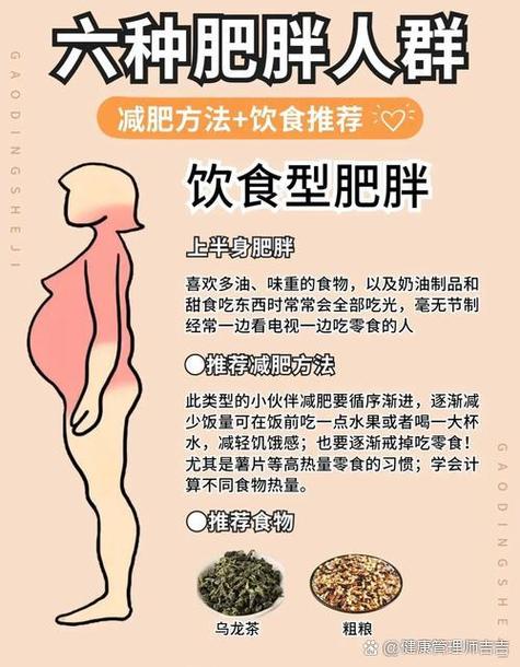 肥胖人减肥计划图标