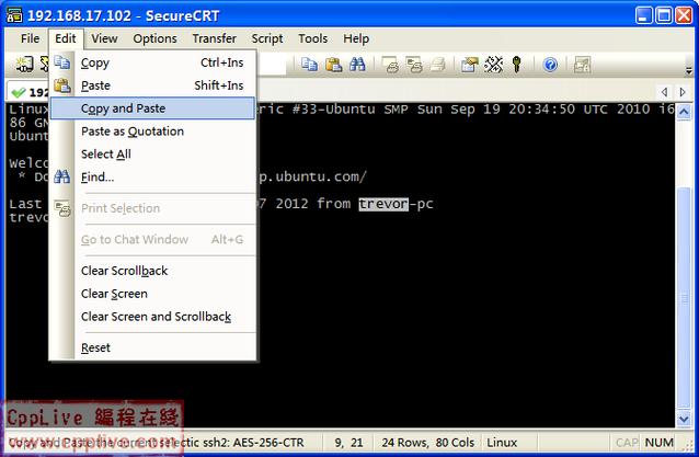 securecrt界面设置图标