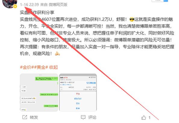 加入vip联系人群组啥意思截图
