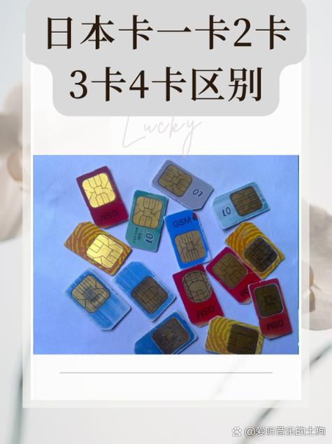 储存卡类型图标