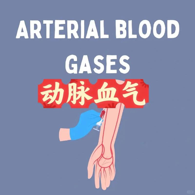 血气分析cbase(b)图标