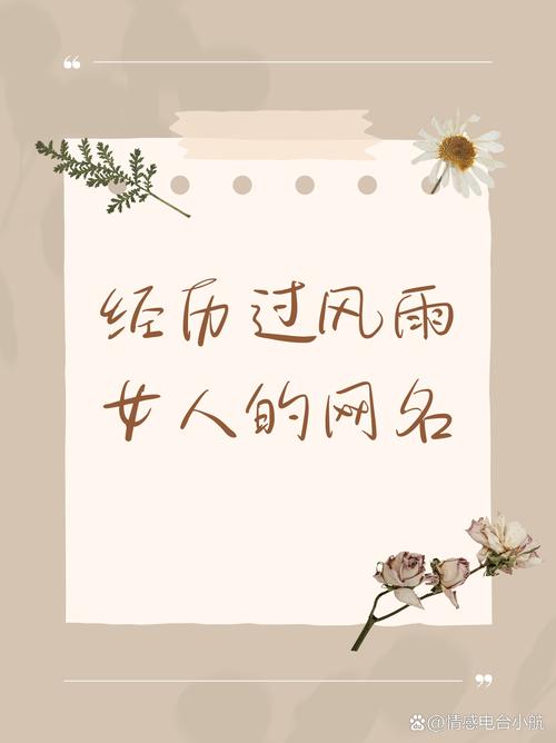 形容经历风雨的网名