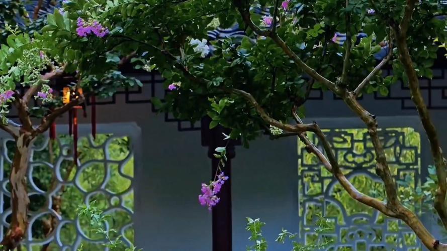 桃花屋里桃花庵的电视剧图标