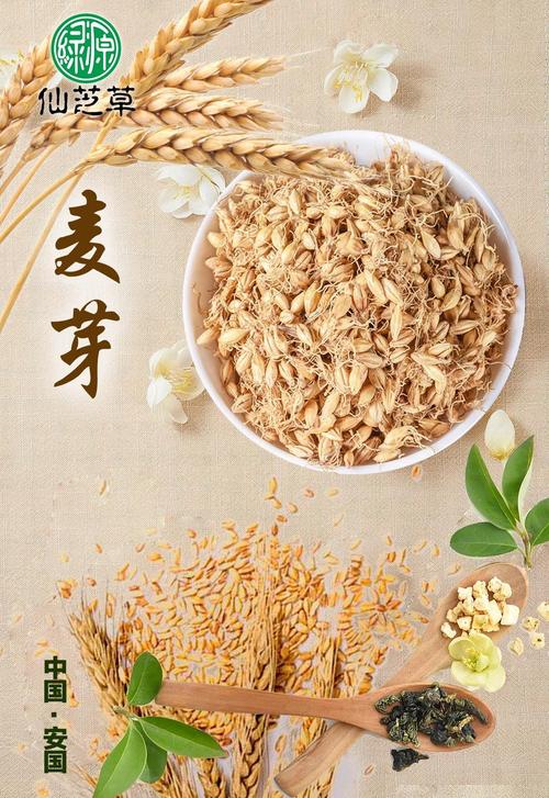 麦芽贷现在叫什么图标