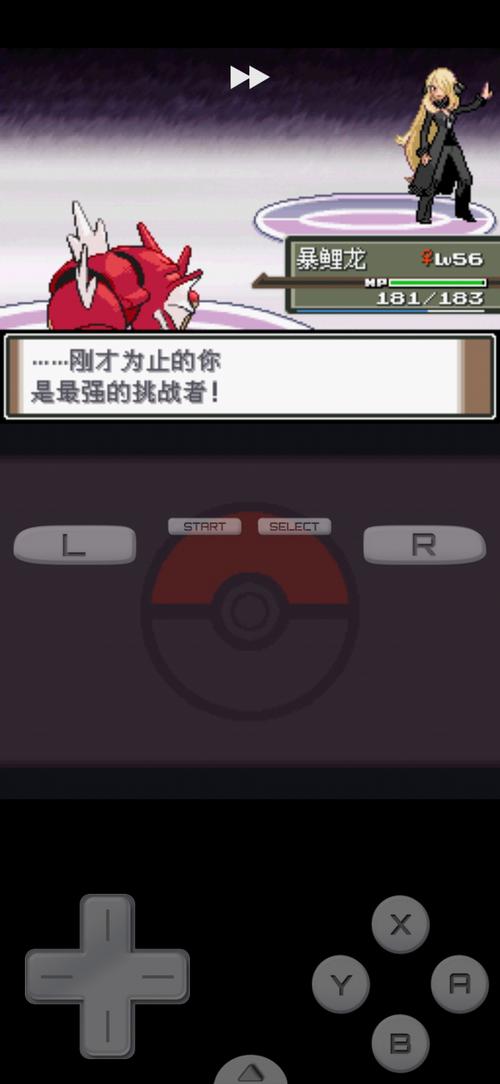 口袋妖怪白金全攻略图文图标