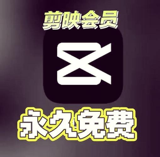 剪映的会员多少钱图标