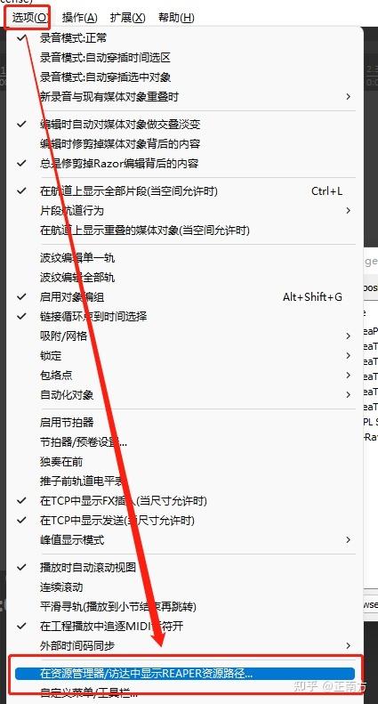 reaper脚本截图