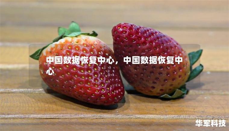 中国数据恢复中心图标