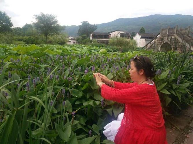 “风有约,花不误,年年岁岁,不相负”图标