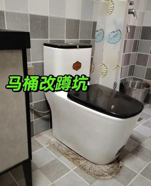 蹲坑改马桶一般多少钱截图