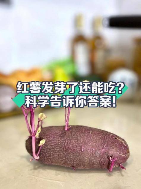 红薯阅读和答案作业帮图标