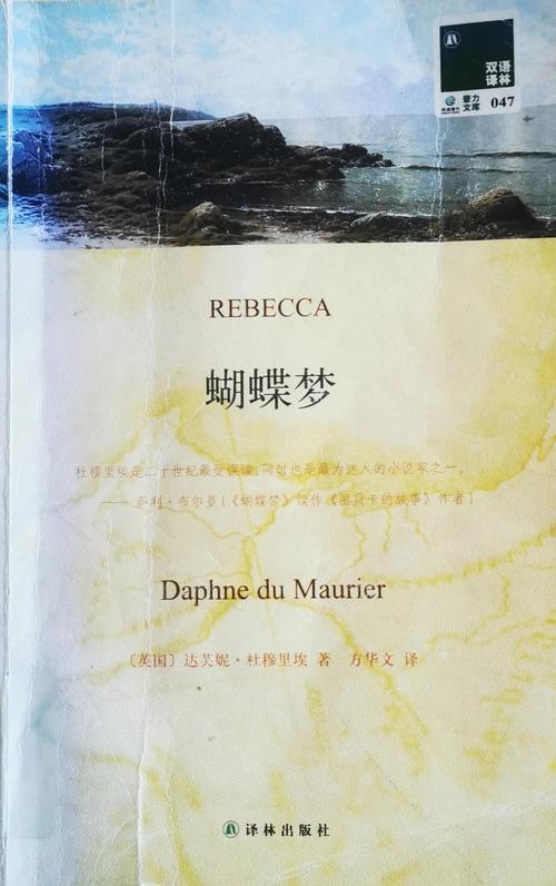 蝶园惊梦小说
