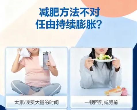 十大减肥机构排名图标