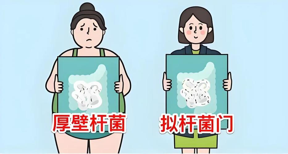 交换菌群能减肥图标