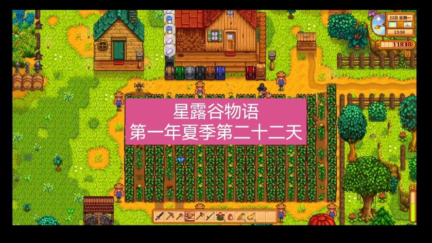 星露谷物语夏日盛宴图标