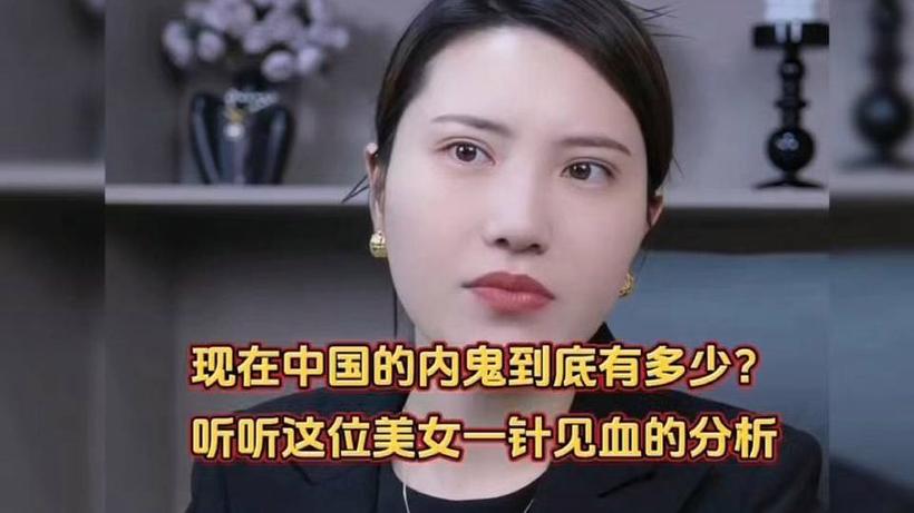 现在中国有多少内鬼图标