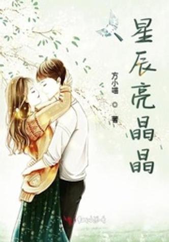亮晶晶小说图标
