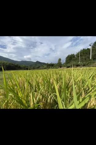 我的世界村庄会刷新村民吗图标