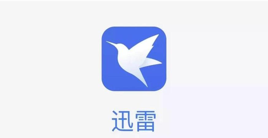 迅雷破解版有吗截图