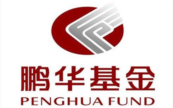 鹏华治理基金今日净值查询图标