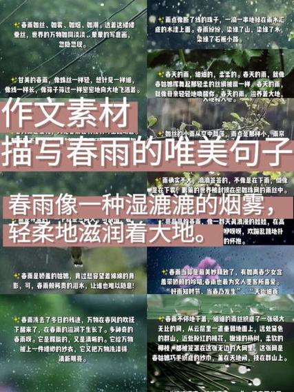 春雨发朋友圈句子图标