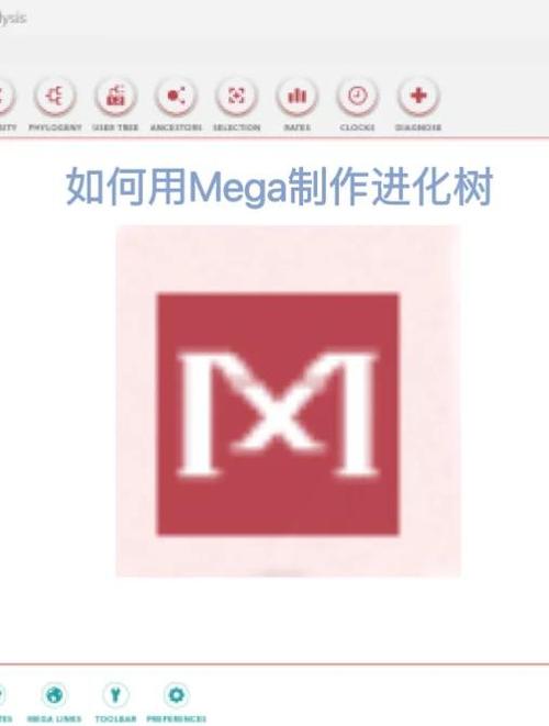 mega软件使用教程图标