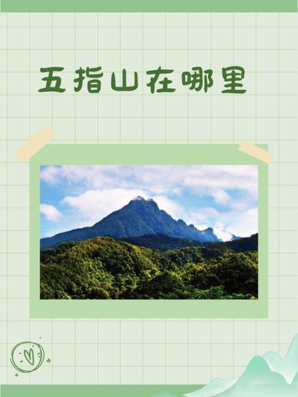 三种人不宜去海口