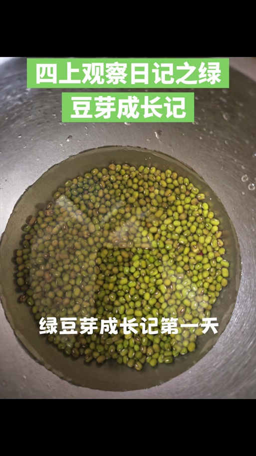 豆芽生豆芽的方法图标