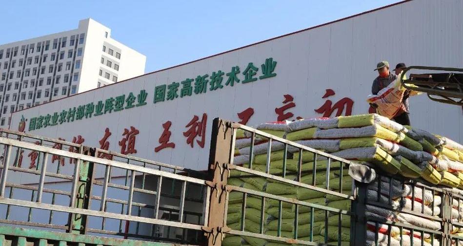 山东最大的种子公司截图