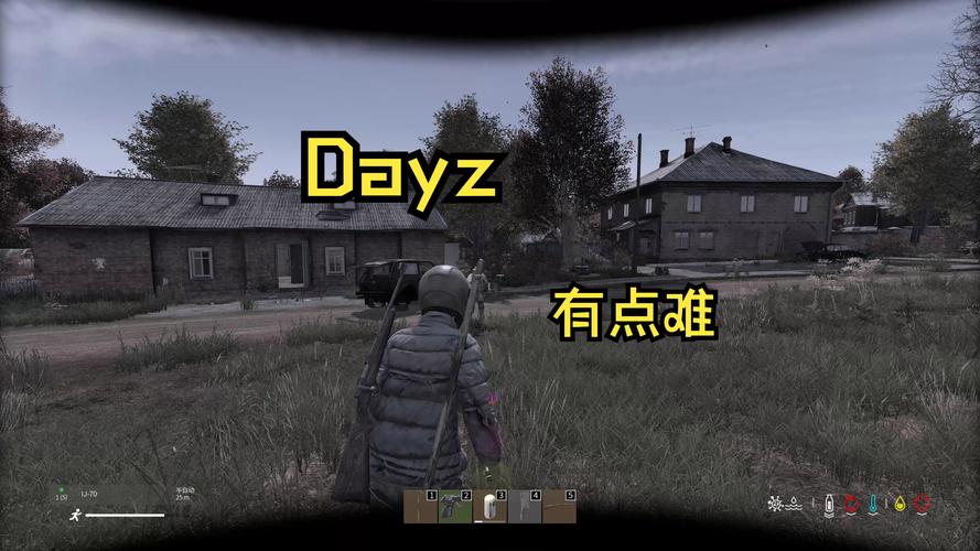 dayz离线模式图标