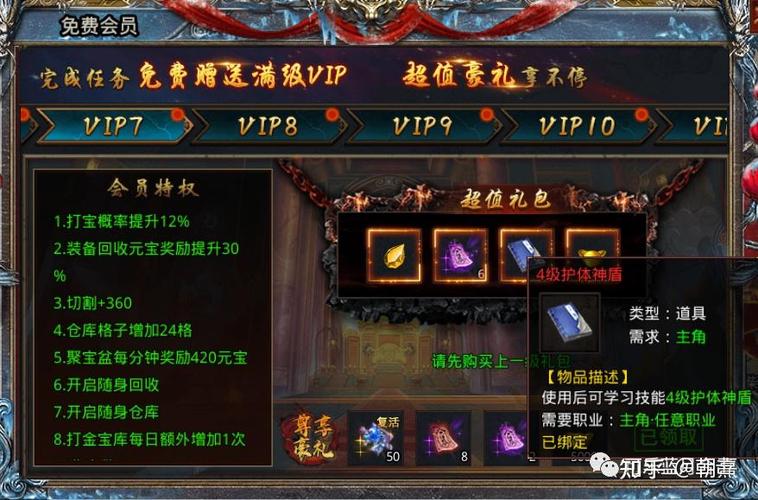 4级护体神盾图标