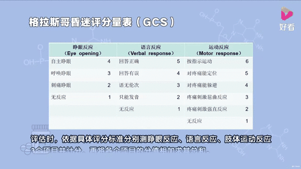 gcs评分8分是什么意思图标